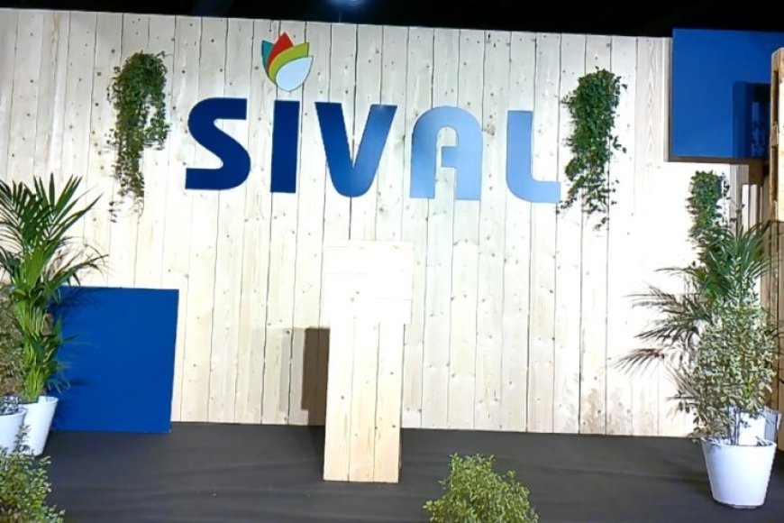 Angers/Sival 2025: entre réalité et succès, en trois évènements - L ...